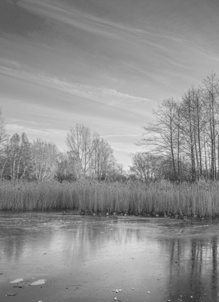 Plan Your Visit - Friends of Crex