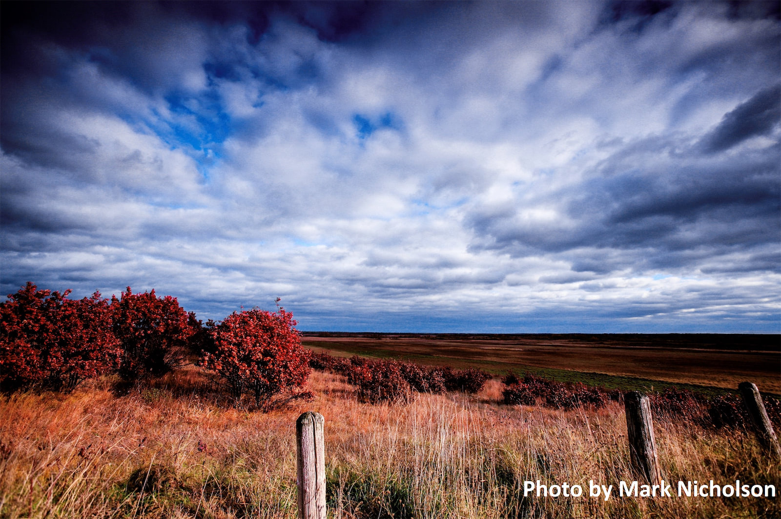 See Crex - Friends of Crex