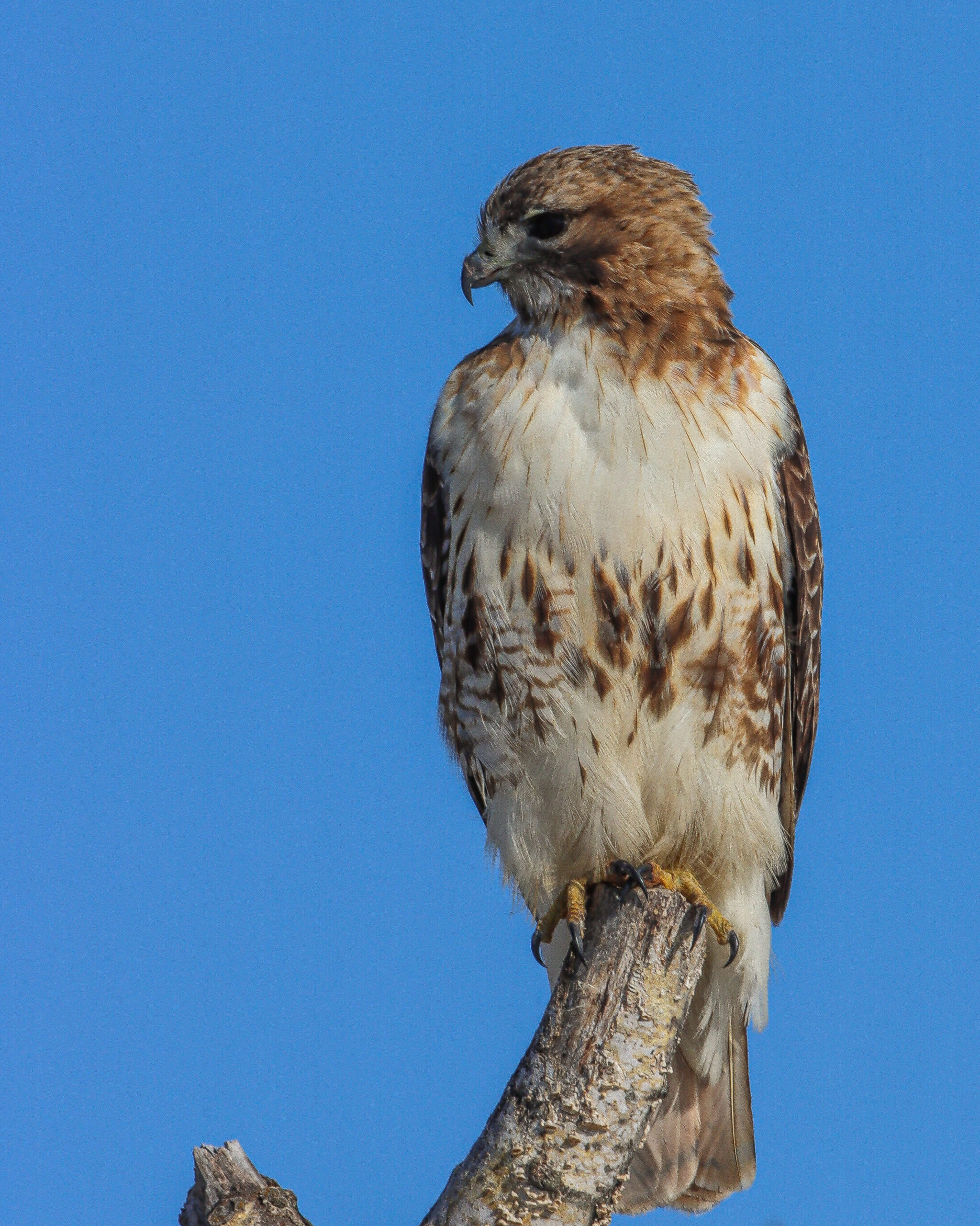 Photo Contest - Friends of Crex