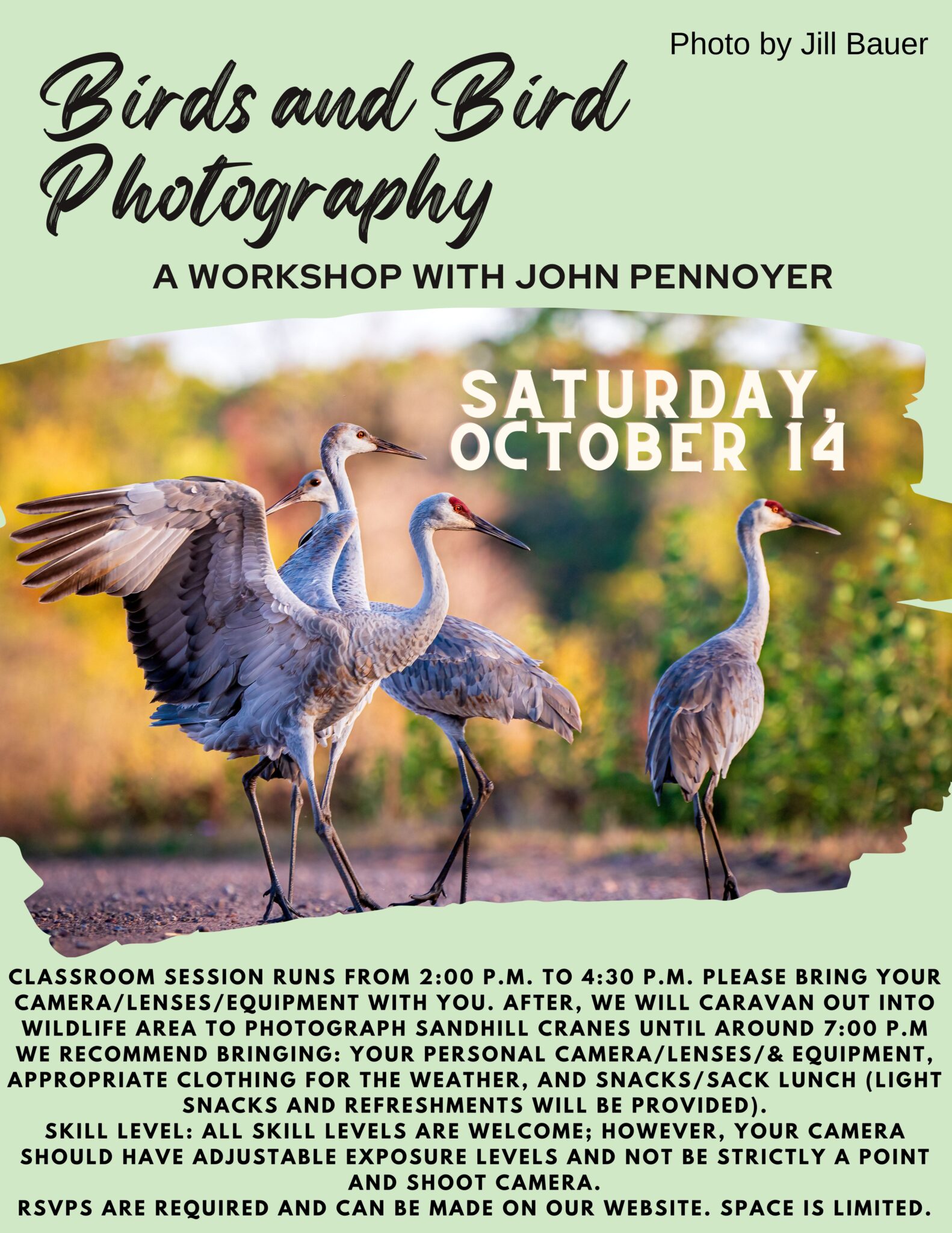 Birds and Bird Photography Workshop - Friends of Crex