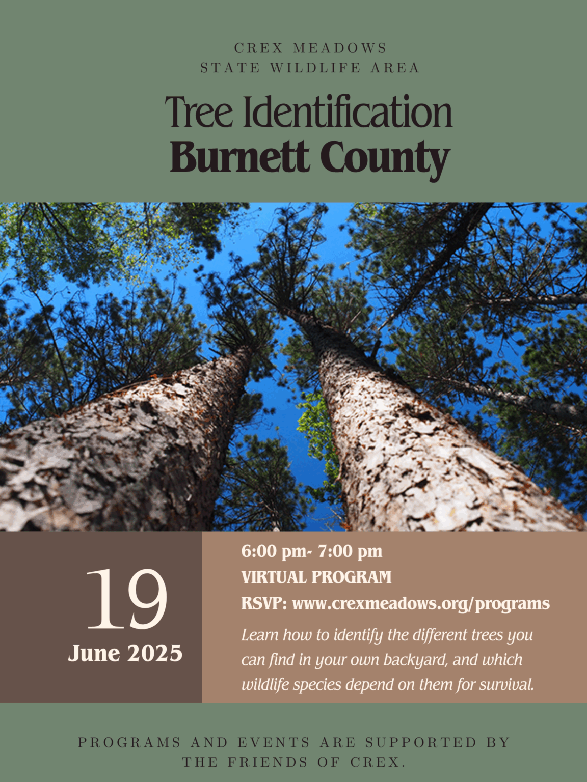 Trees of Burnett County - Virtual Program - Friends of Crex
