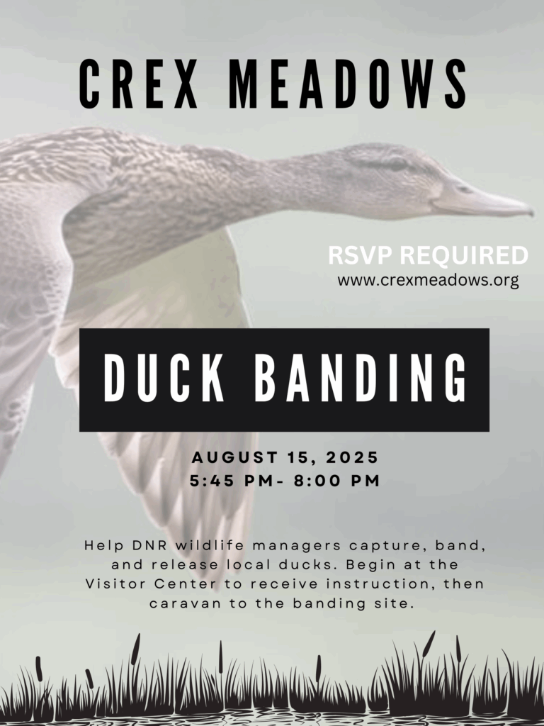 Duck Banding Program - Friends of Crex