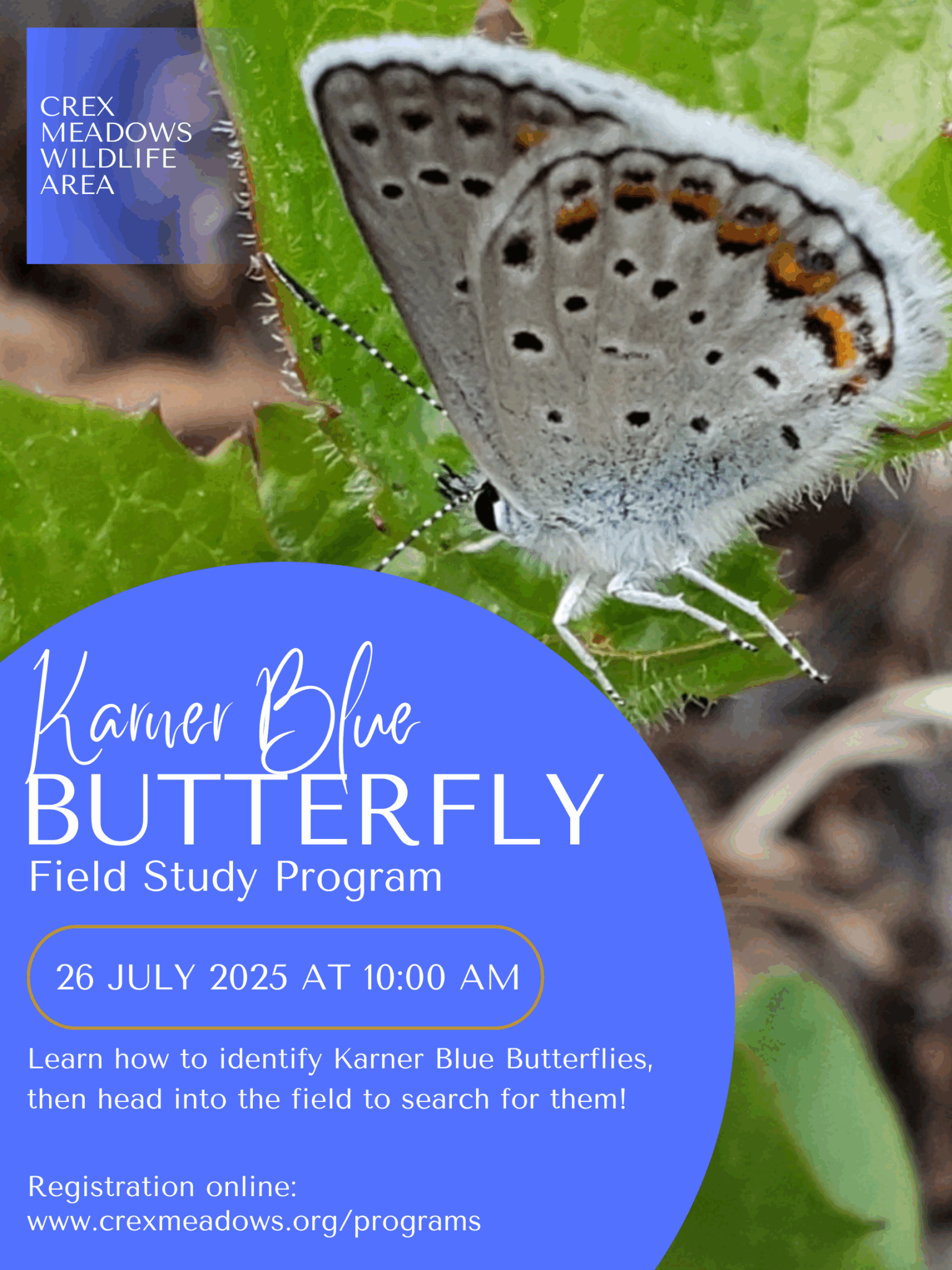 Karner Blue Butterfly Field Study Program - Friends of Crex